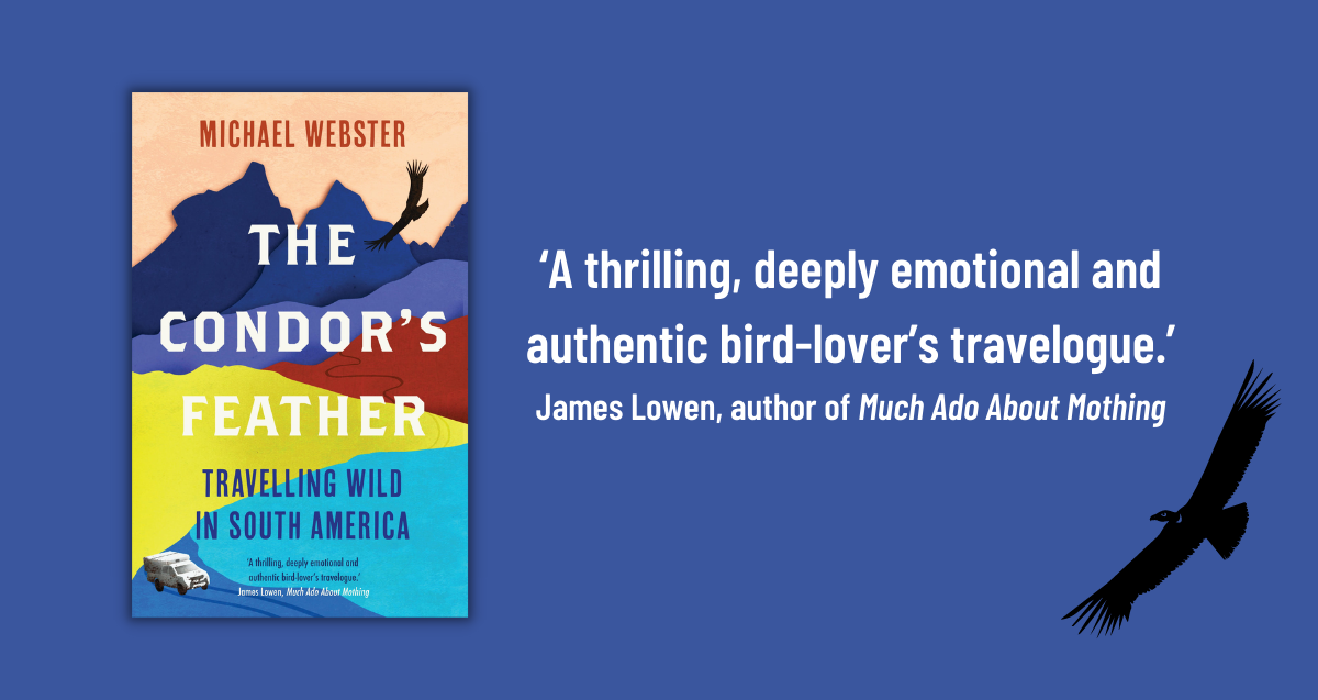 The Condor's Feather: Travelling Wild in South America — September ...