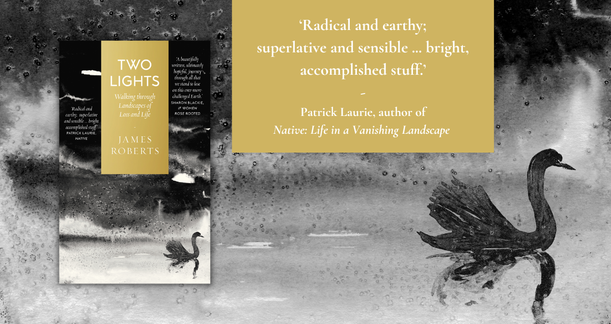 Two Lights: Walking Through Landscapes of Loss and Life — September ...